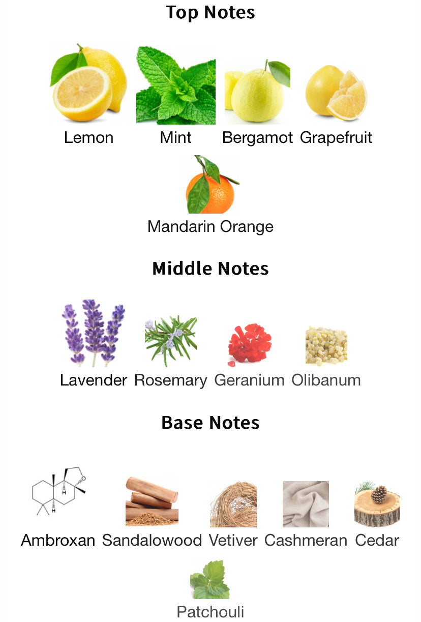 PDM Sedley – Solely Fragrance